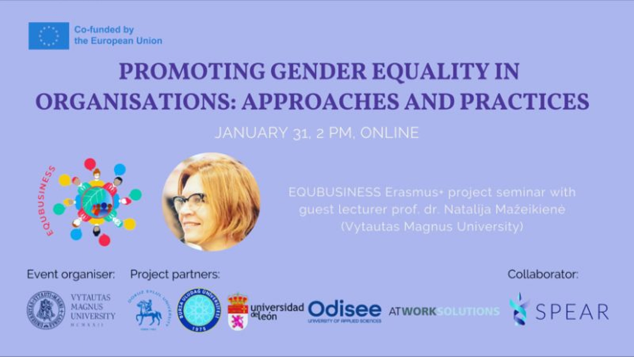 Promoting Gender Equality in Organisations: Approaches and Practices ...